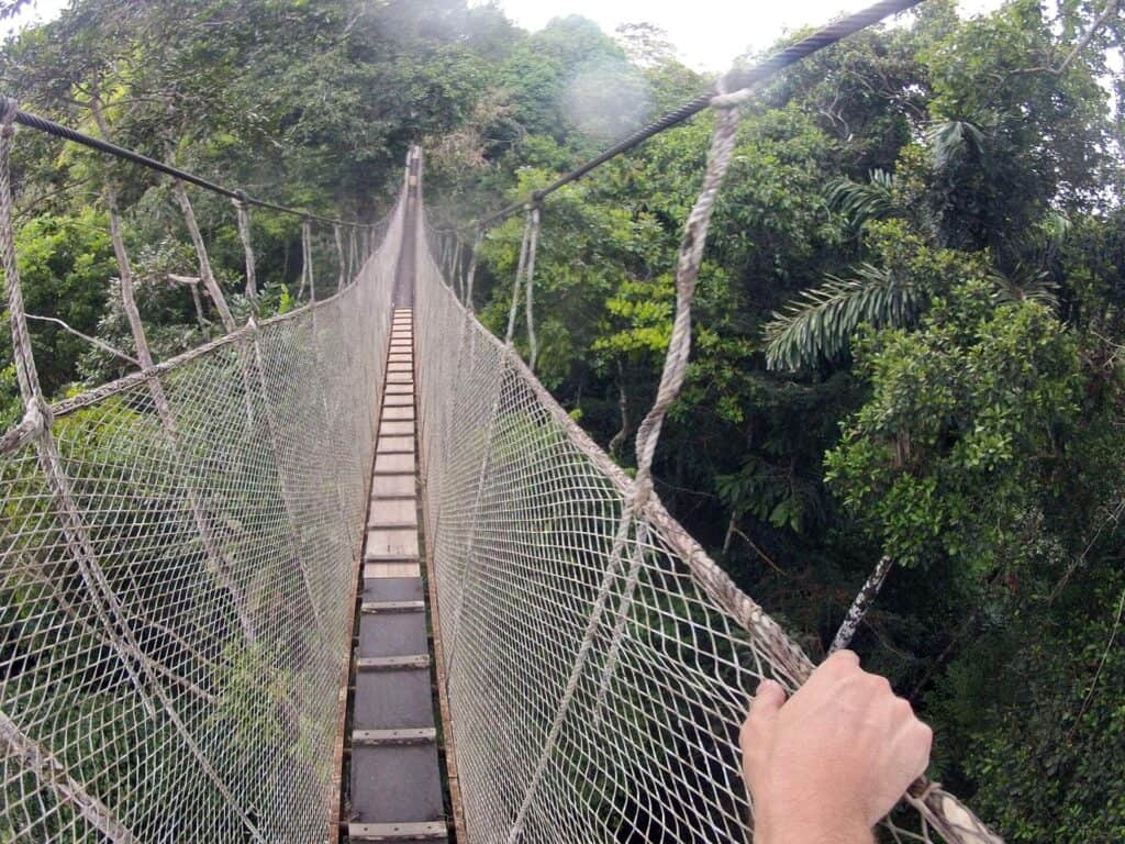 Canopy Walkway Iquitos Peru, Turismo - Condor Xtreme