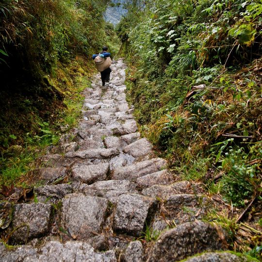 Inca-stien: En uforglemmelig oplevelse til Machu Picchu