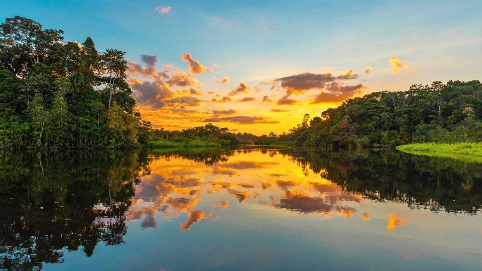 Le fleuve Amazone : la merveille naturelle que tout le monde devrait ...